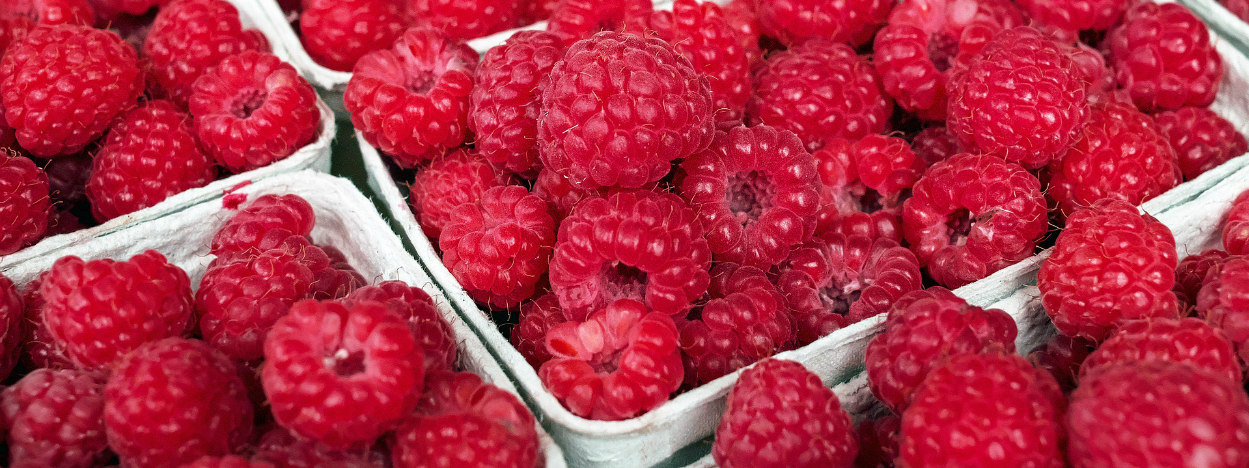 La framboise : un fruit à consommer sans modération ! - Ecolive